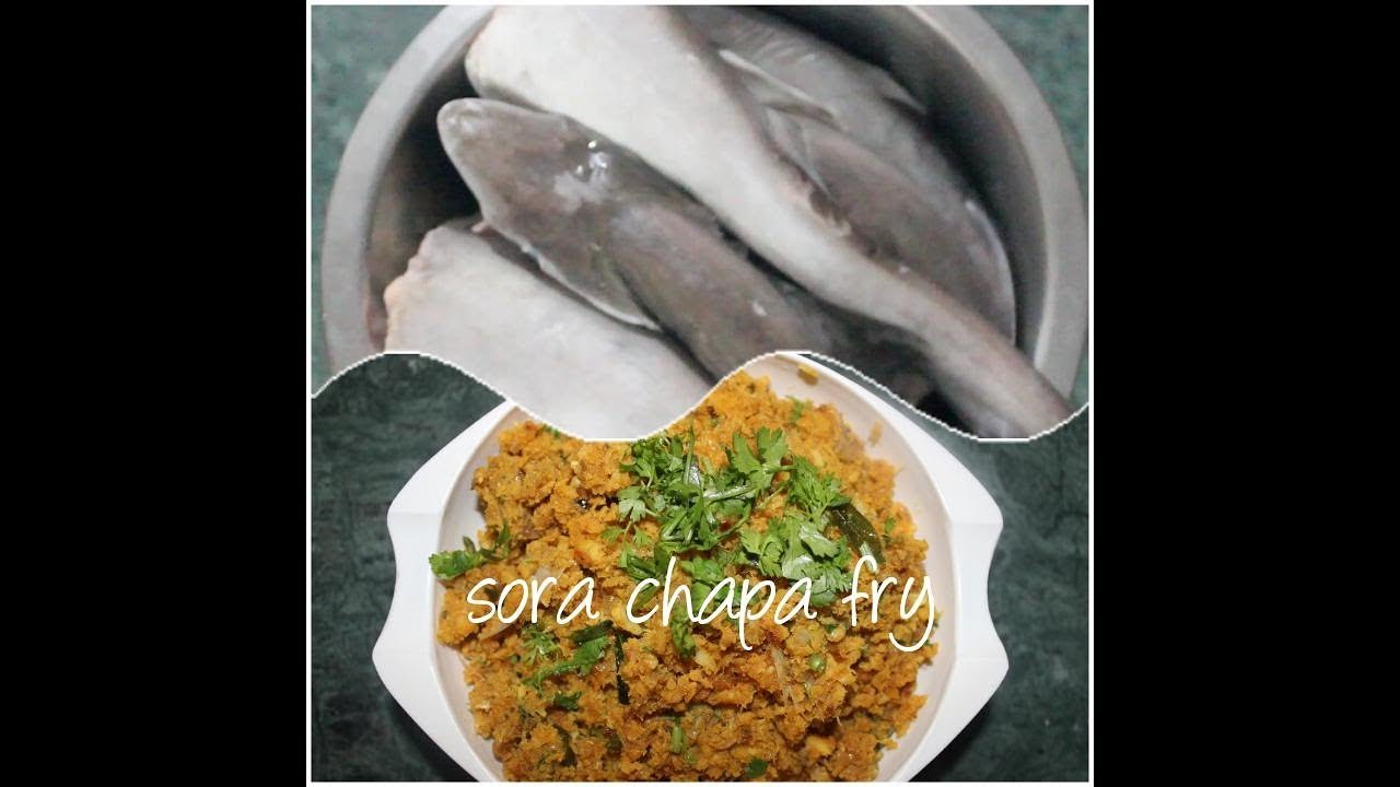 SORA CHAPA FRY - YouTube