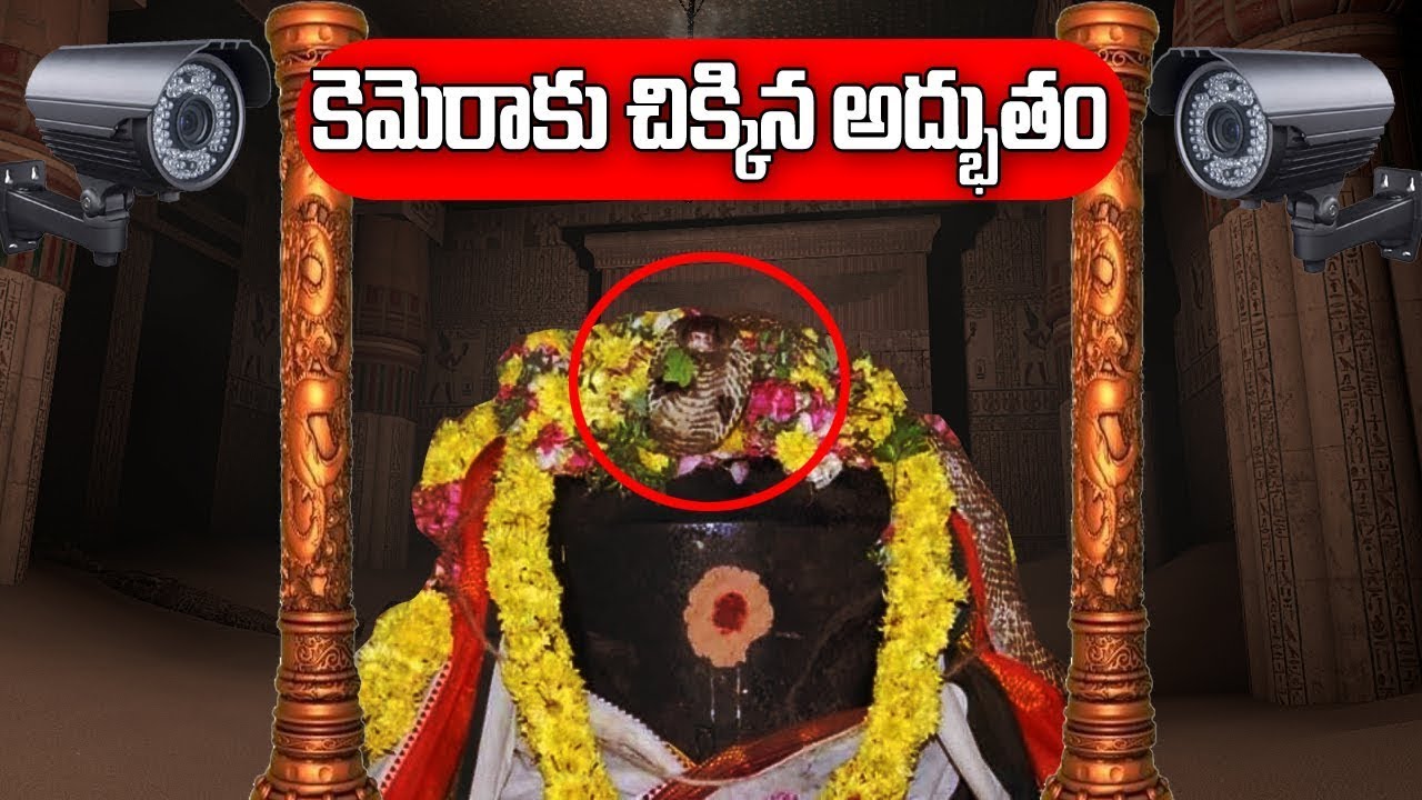 శివాలయంలో జరిగిన ఓ అద్భుత సంఘటన . భక్తులు చూస్తే ఆశ్చర్య పోతారు| Shiva ...
