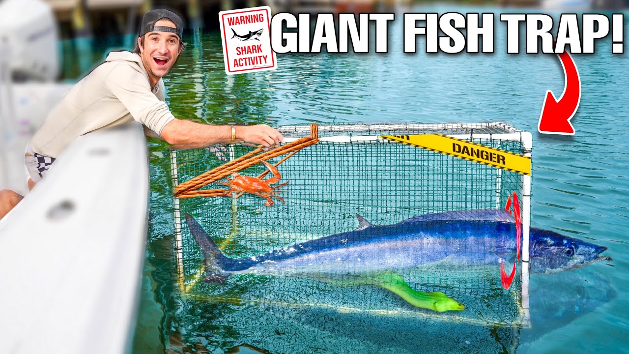 SEA MONSTER Caught In GIANT FISH TRAP! - YouTube