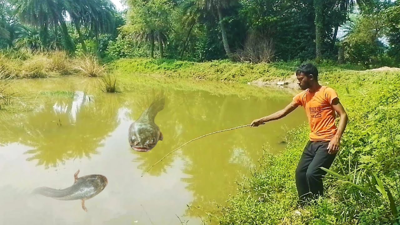 Fishing Village rod Fishing 🎣 - YouTube