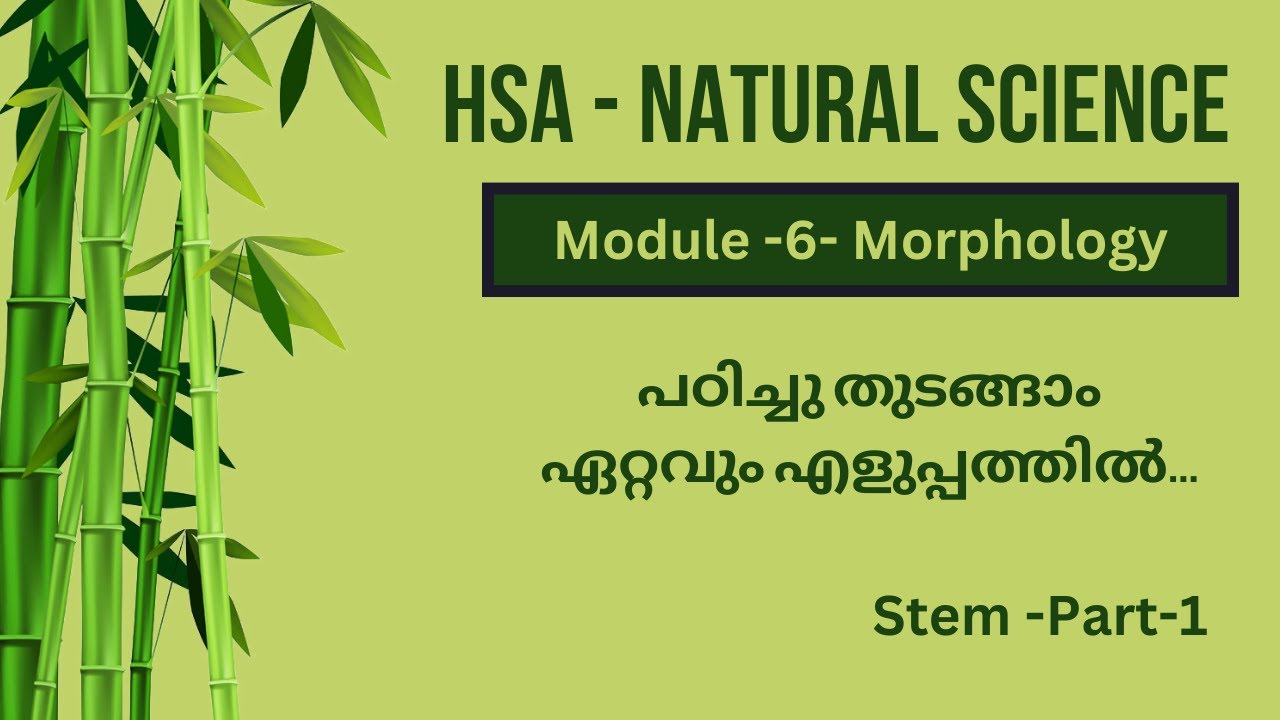 Stem | Types of stem| Part 1|Module-6 |Morphology| HSA Natural Science ...