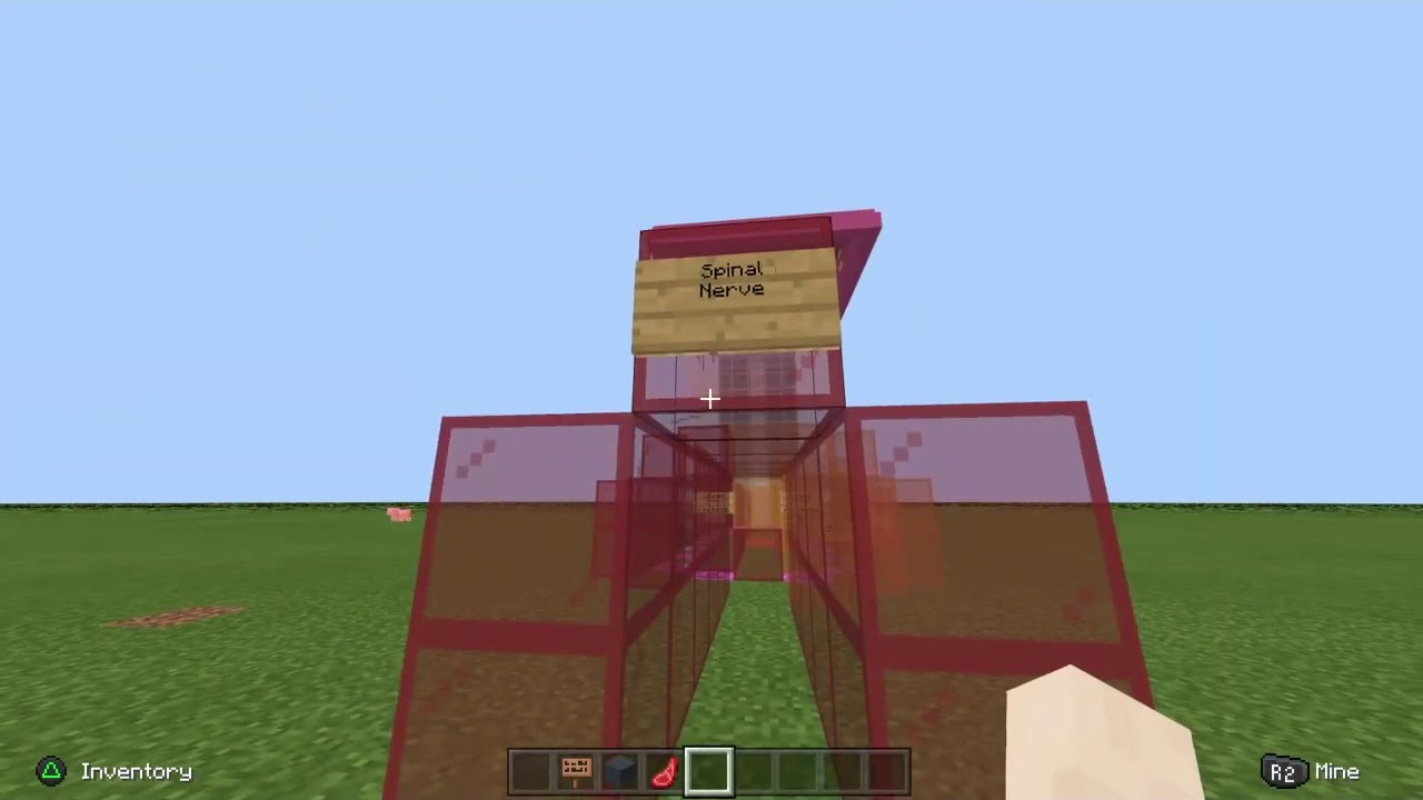 How to Study Biology with Minecraft - YouTube