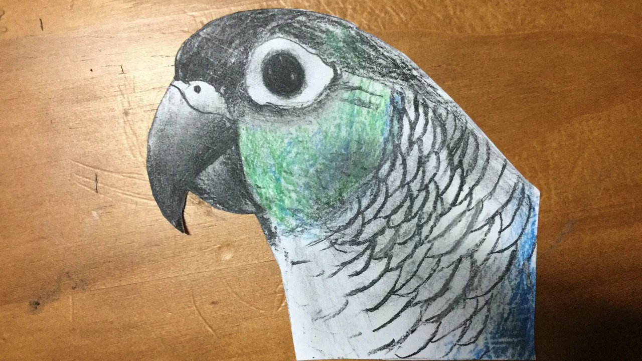 Ari Drawing - YouTube