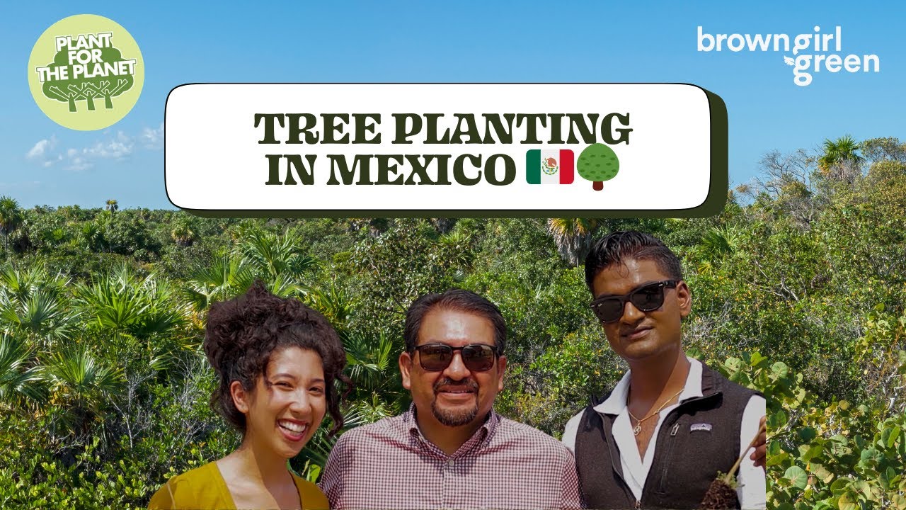 🌳Come Tree Planting with Me in Mexico! - YouTube