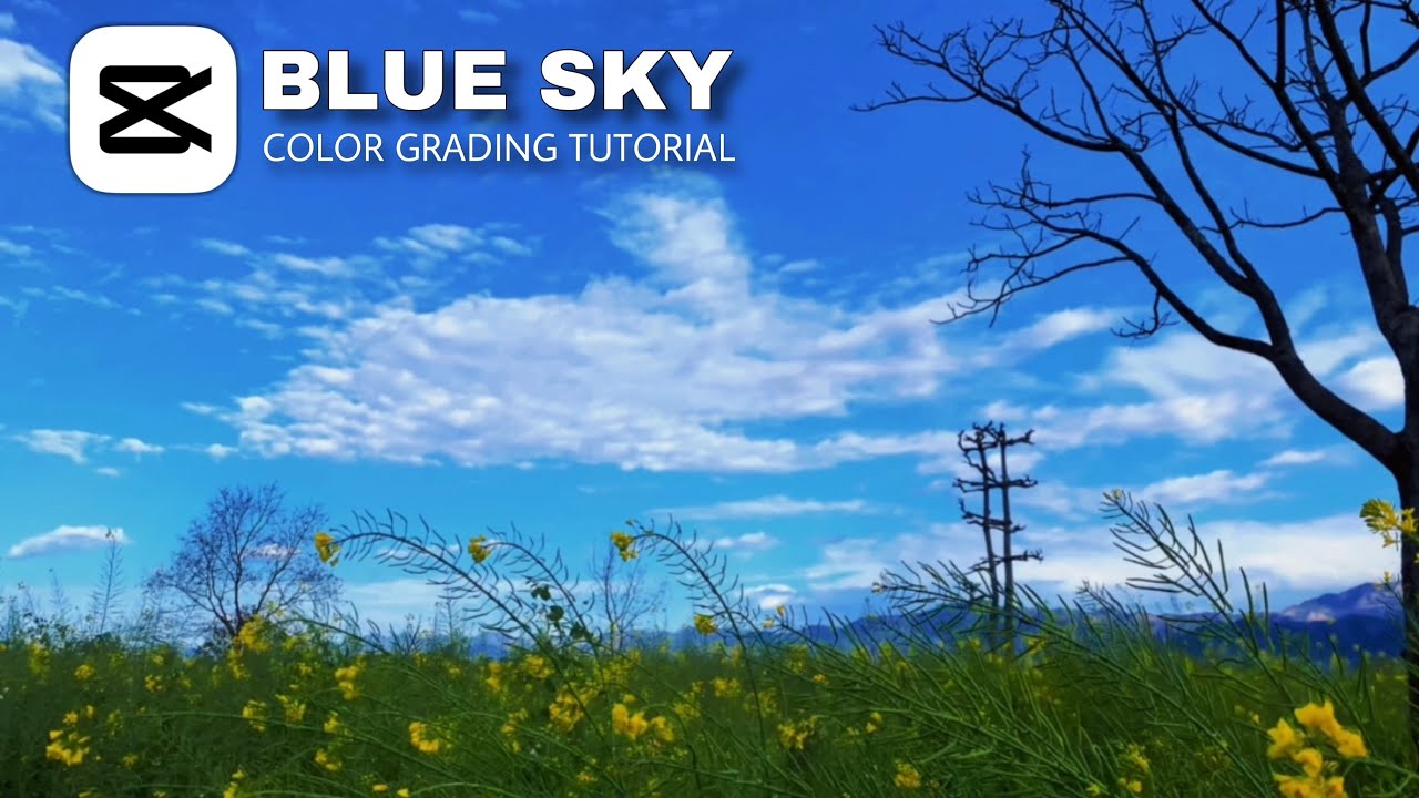 Mastering Blue Sky Color Grading: CapCut Tutorial | How to do Color ...