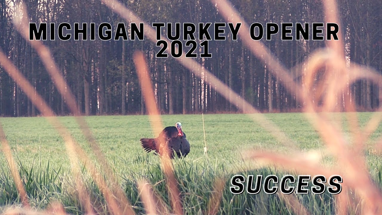 Michigan Spring Turkey opening morning 2021. - YouTube