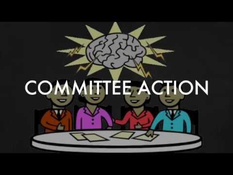 Committee Action - YouTube
