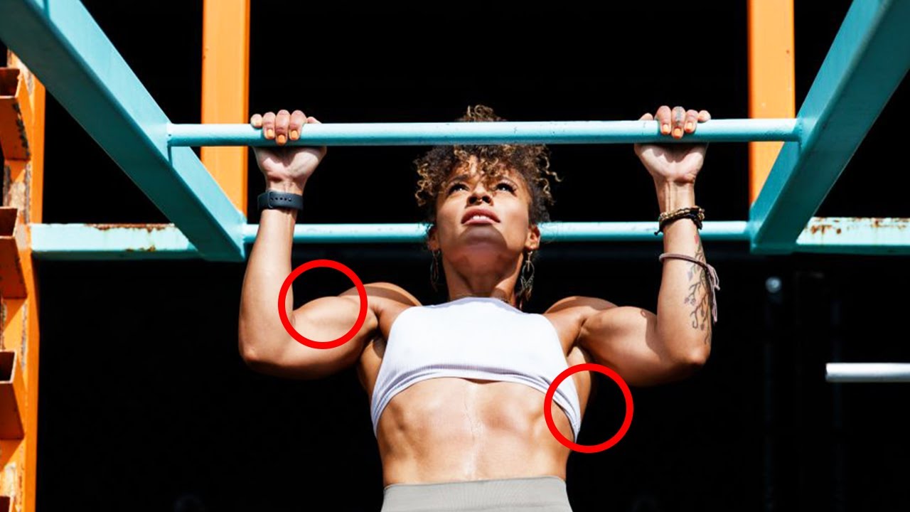 Two Muscle Groups Per Day Workout Plan - YouTube