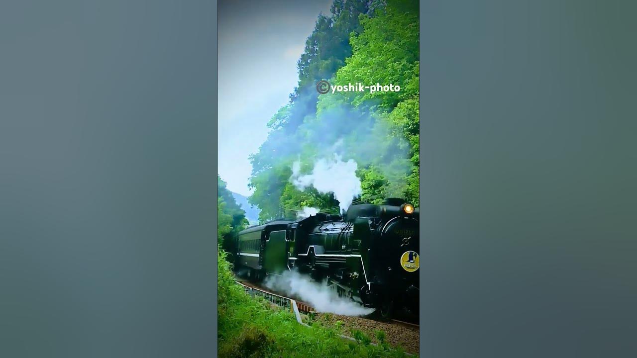 SLやまぐち号 D51200 篠目田代を帰行 - YouTube