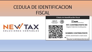 Cédula de Identificación Fiscal CIF 2022 || como obtene... | Doovi