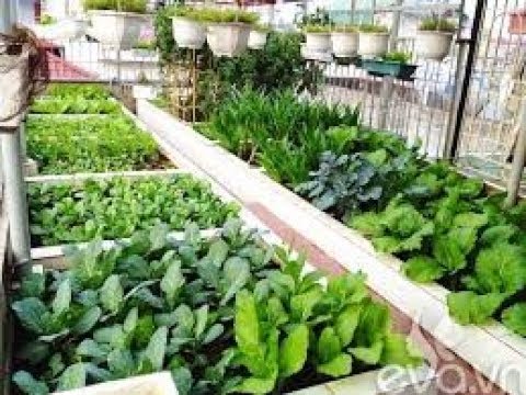 Vlog Ngoc - Di tham quan quang truong