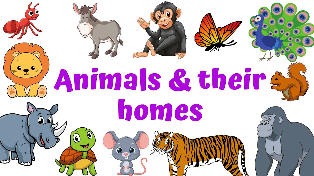 Animals & their Home for kids in English | Animal Vocabulary | Animals ...