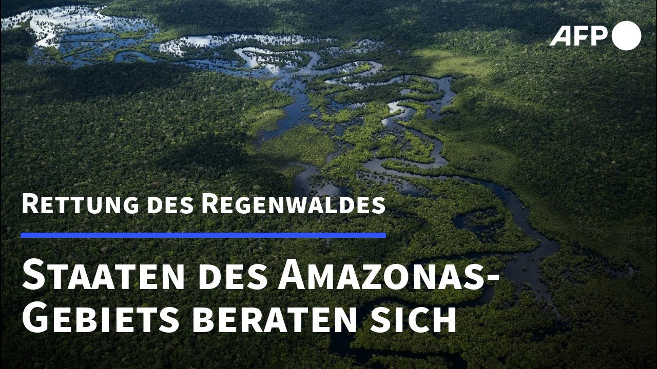 Staaten des Amazonas-Gebiets beraten über Rettung des Regenwaldes | AFP ...