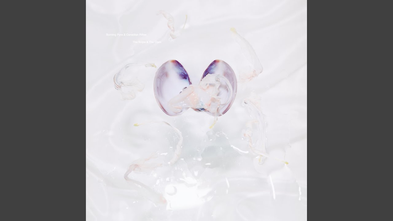 The Clam - YouTube Music