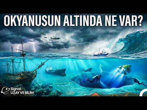 Bermuda Şeytan Üçgeni: Okyanusun Altındaki Gerçekler I Türkçe Dublaj Belgesel