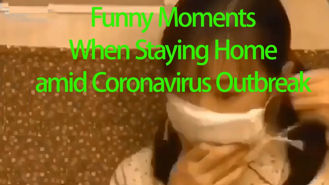 Funny Moments When Staying Home amid Coronavirus Outbreak | Funny ...