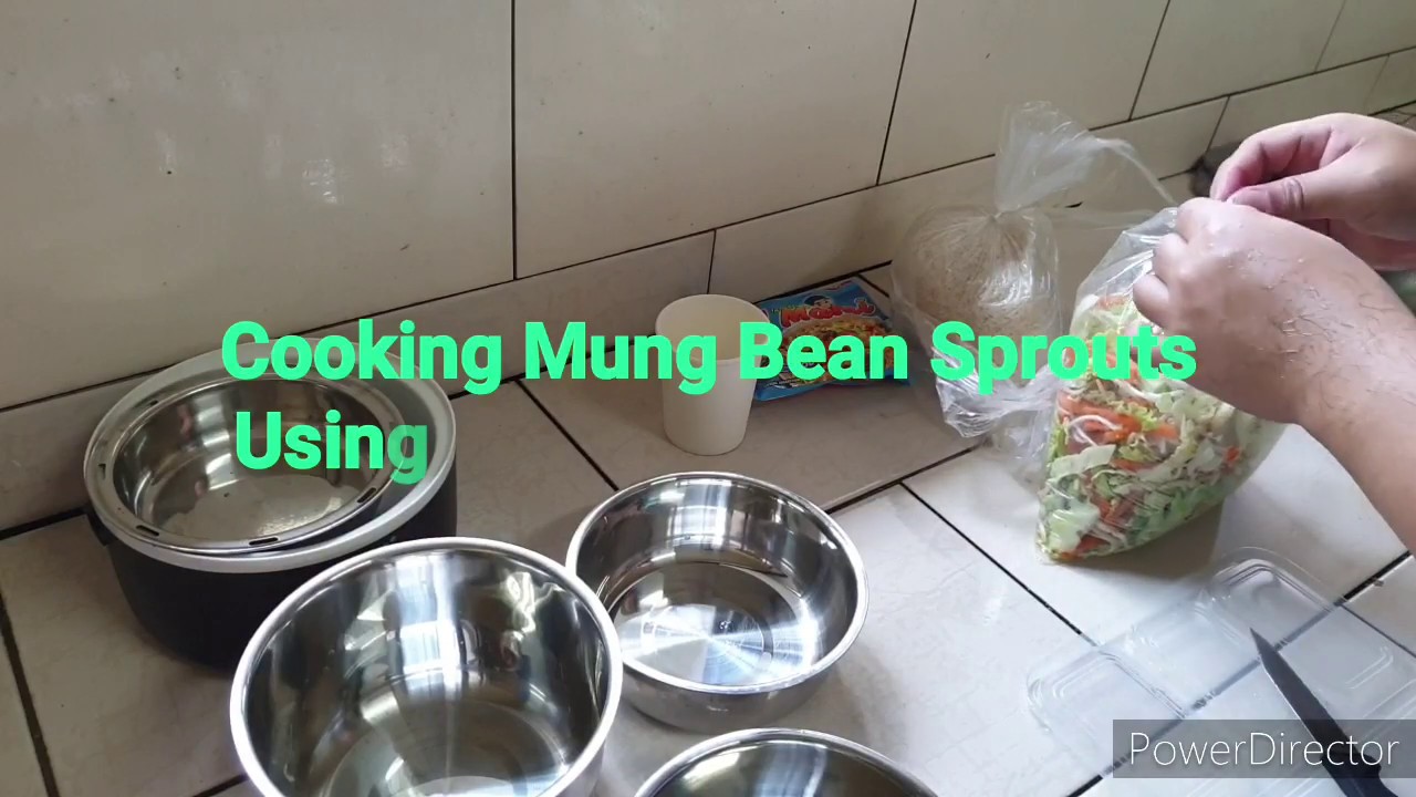Using an Electric Lunch Box: Cooking Mung Bean Sprouts (Sprouted Mongo ...