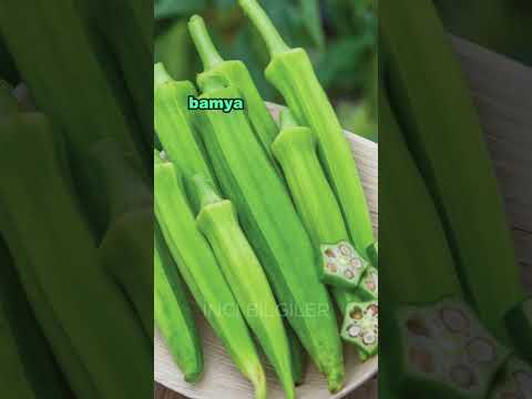 Bamya Hakkında Bilgiler - 217 #okra #bamya #meyve #sebze #botanical #yemek #bilgi #incibilgiler