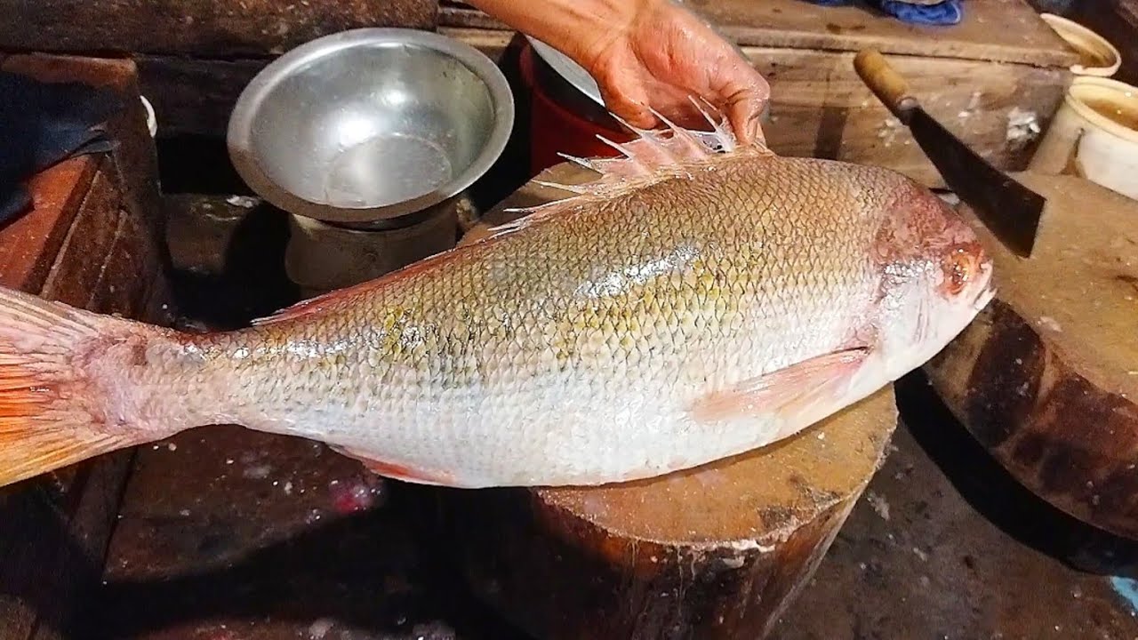Bull Pufa fish cutting video Bangladesh fish Market - YouTube