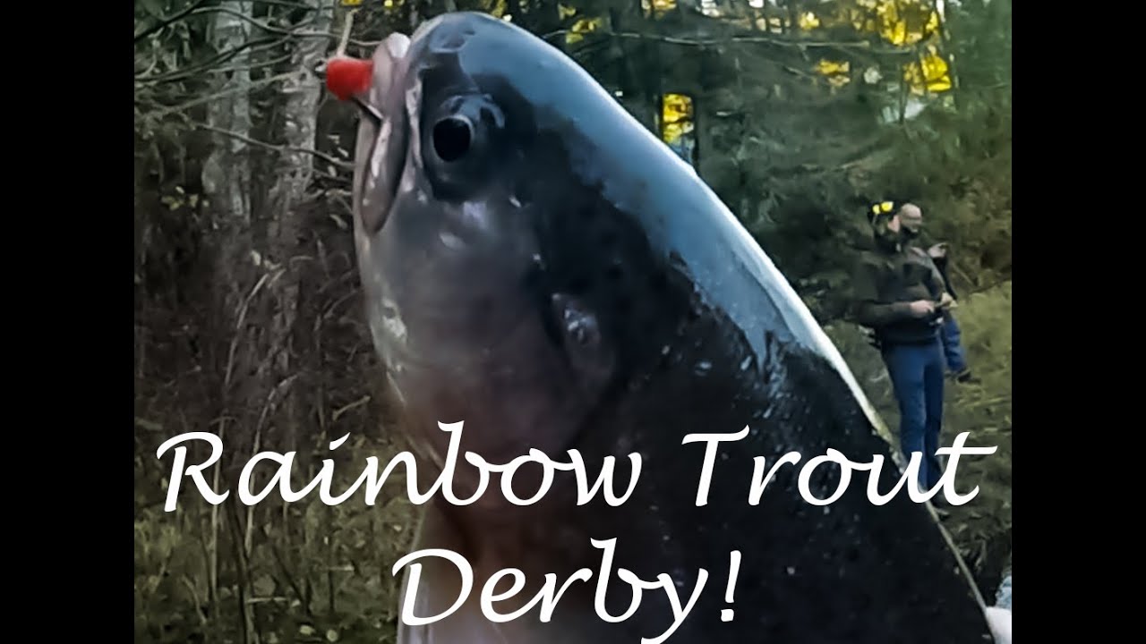 Oregon Fishing - November Trout Haul - YouTube