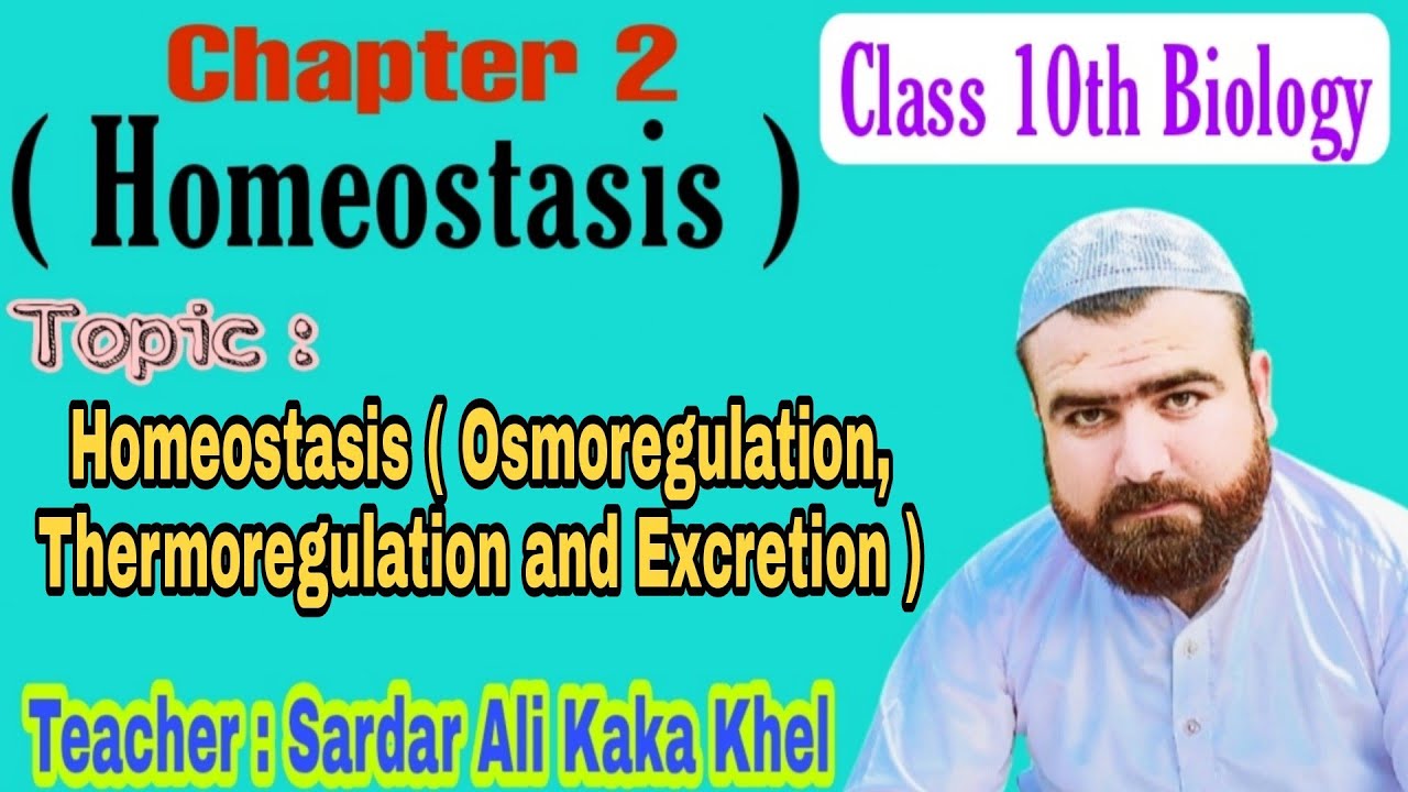 Homeostasis(Osmoregulation, Thermoregulation,Excretion)|Class 10th ...