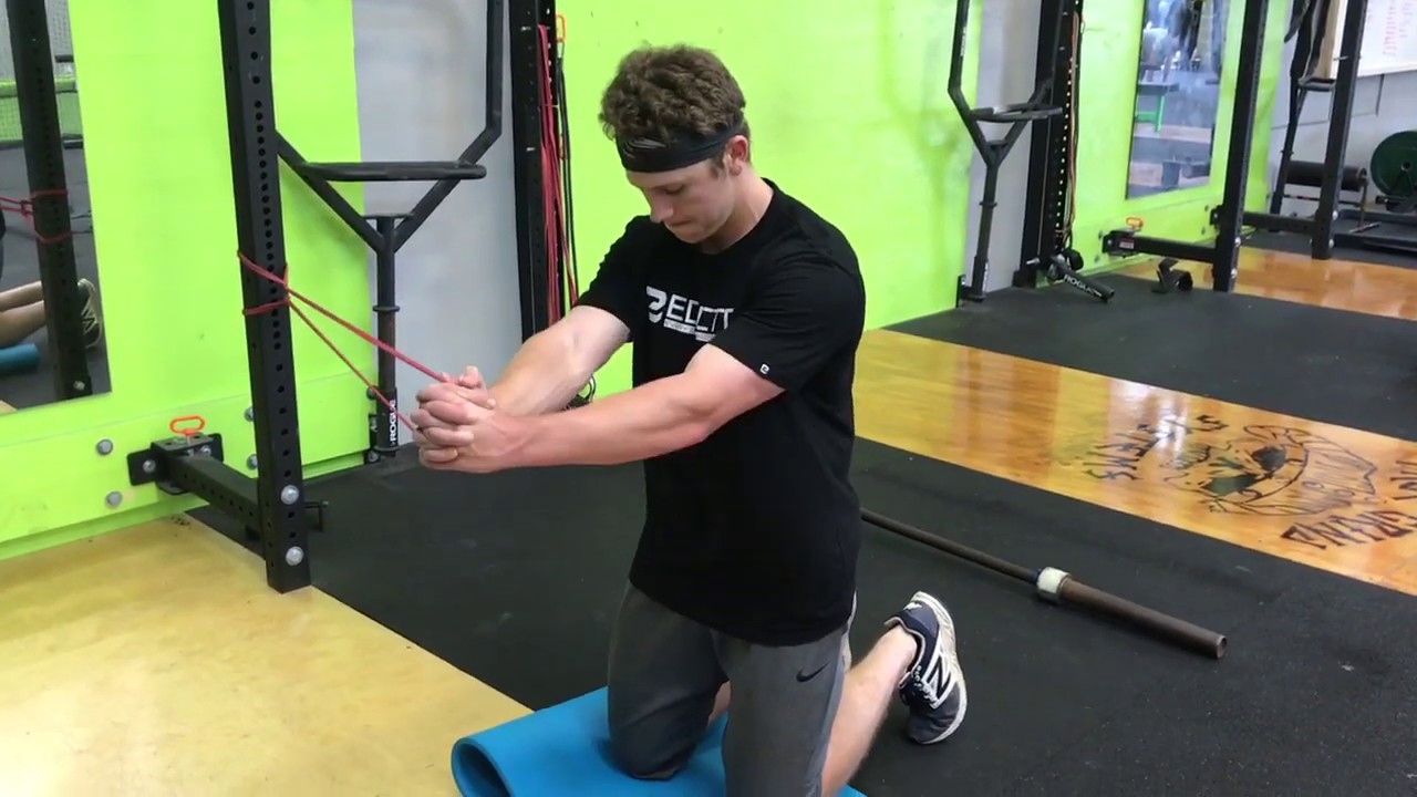 Tall-Kneeling Banded Pallof Press - YouTube