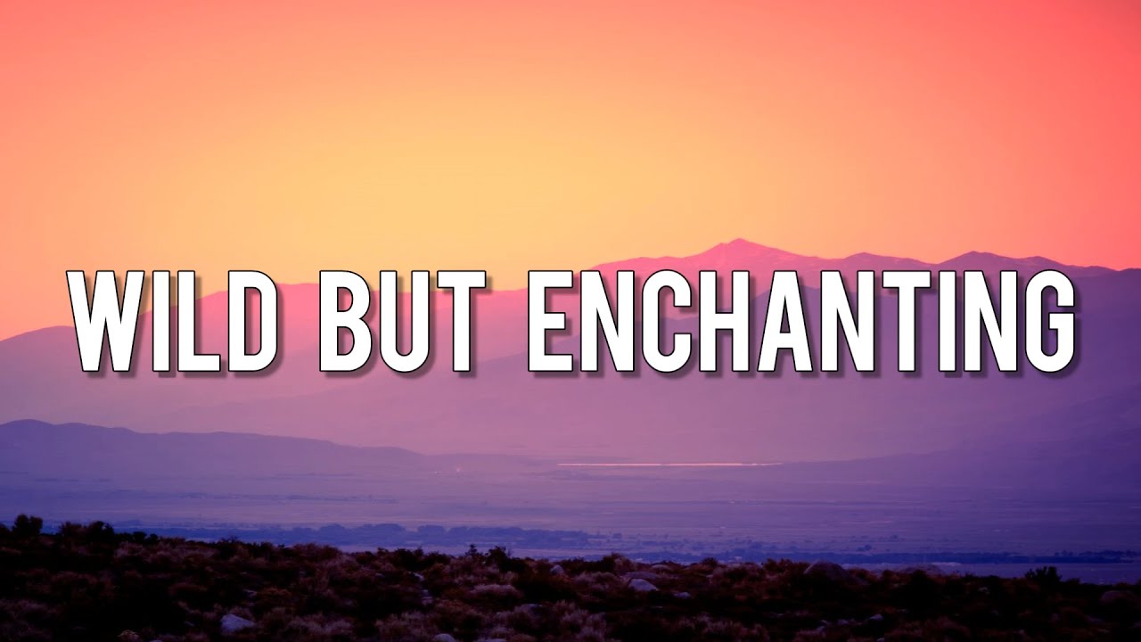 Wild but enchanting [Lyrics] / Let's Lose Control, Cosmic Candy Rush ...