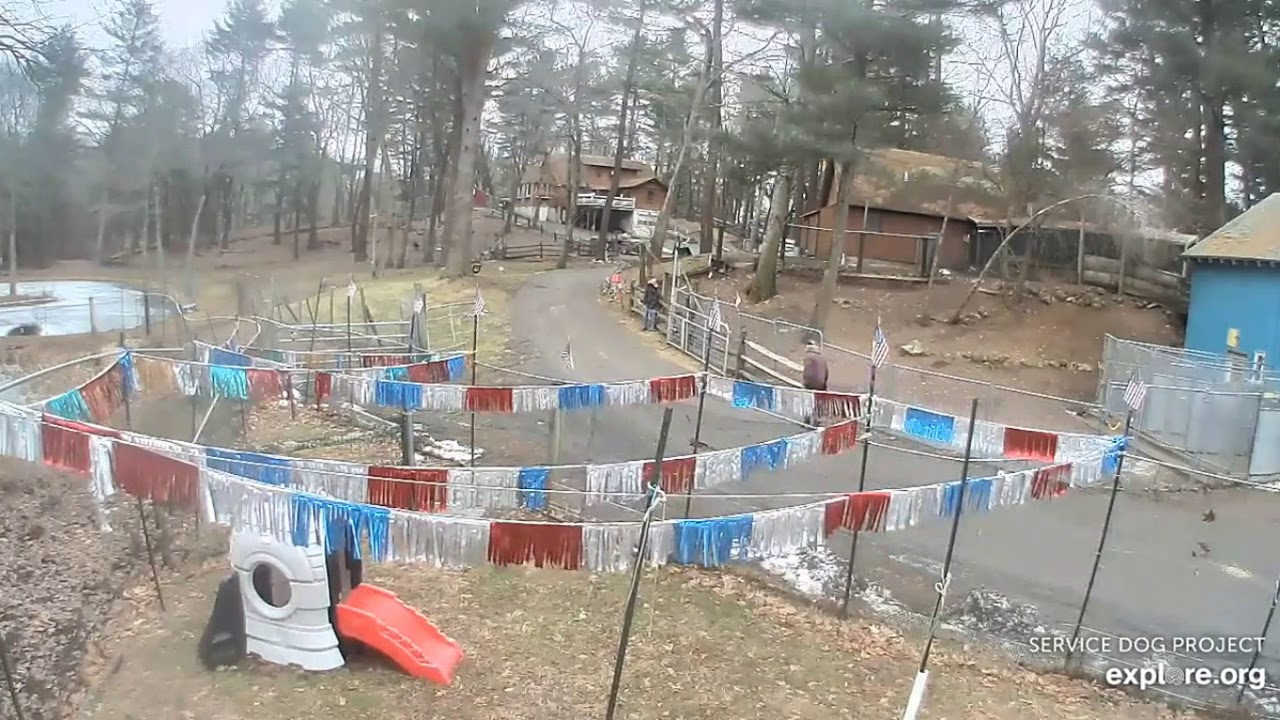 Grace and Ariot midday scenes 212020 - YouTube