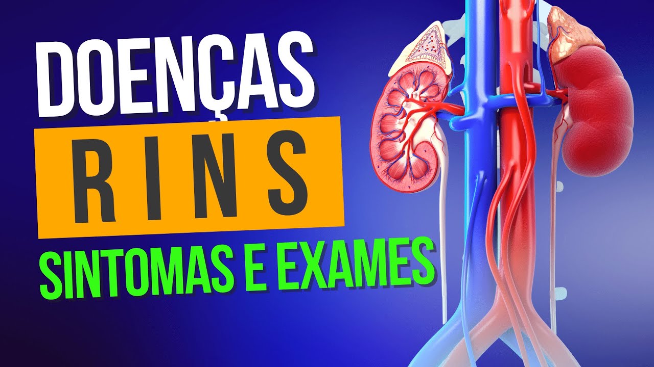 DOENÇA DOS RINS: FUNCIONAMENTO, EXAMES E FATORES ASSOCIADOS A DOENÇA ...