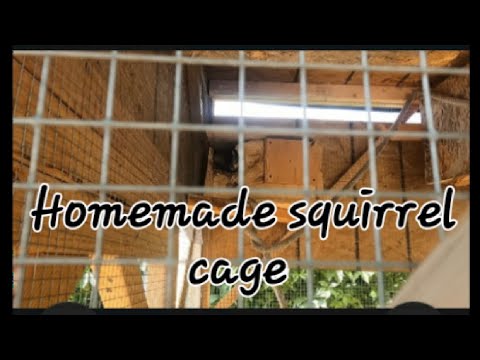 Homemade squirrel cage part 9 - YouTube