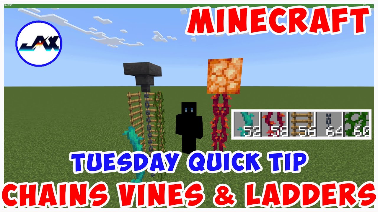 ⚡Chains, Vines & Ladders | Minecraft Tuesday Quick Tip 💮 - YouTube