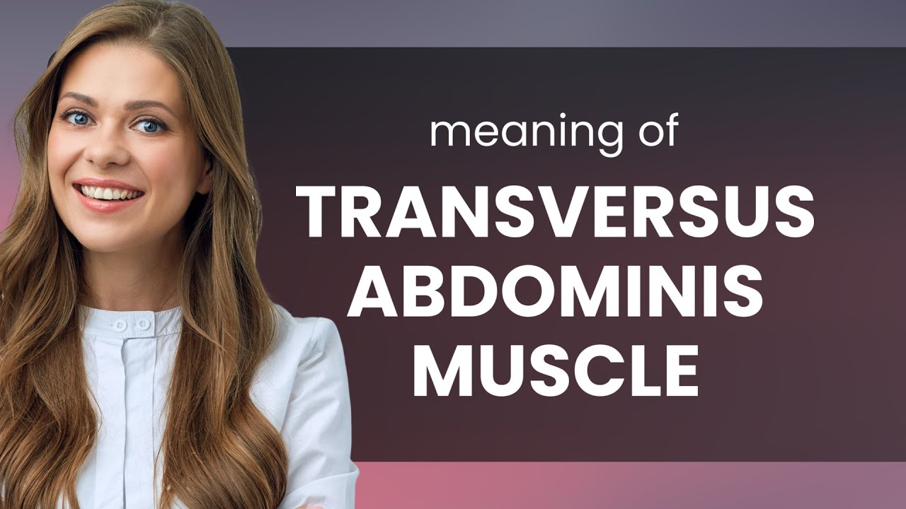 Transversus abdominis muscle • what is TRANSVERSUS ABDOMINIS MUSCLE ...