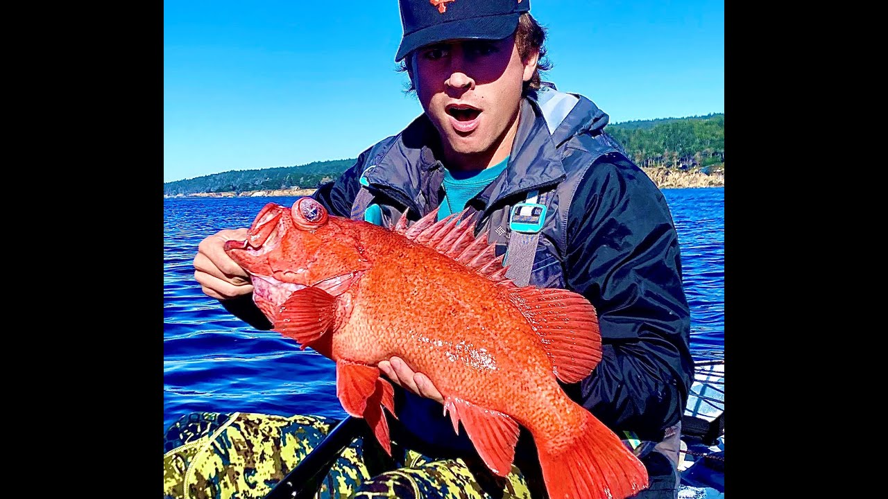 HUGE PB VERM AND LING || Timber Cove Kayak Fishing - YouTube