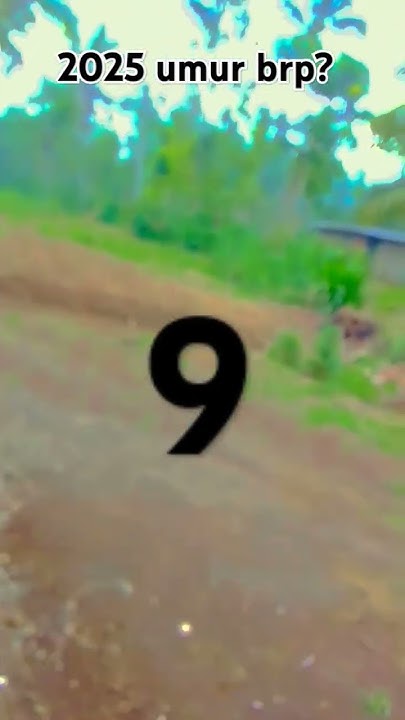 23 November 2024 - YouTube