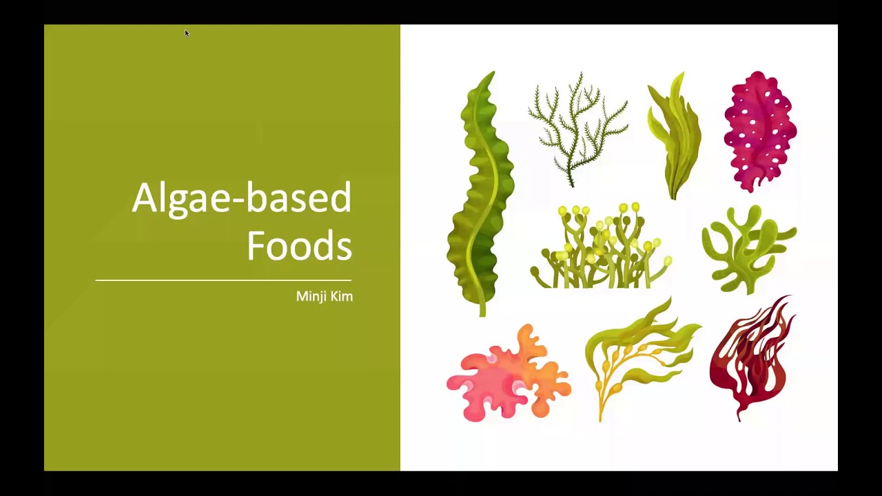Future Food: Algae Based Foods - YouTube