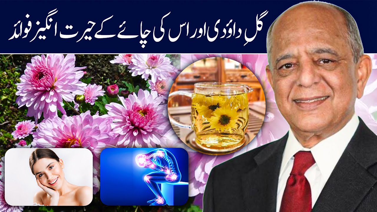 Gul-e-Dawoodi ke 11 Hairat Angaiz Fawaid | Chrysanthemum Tea Benefits ...