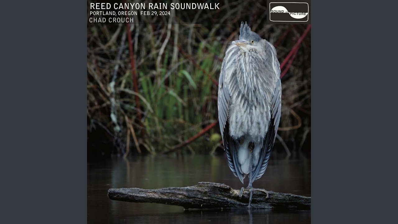 Part 1, Reed Canyon Overture - YouTube