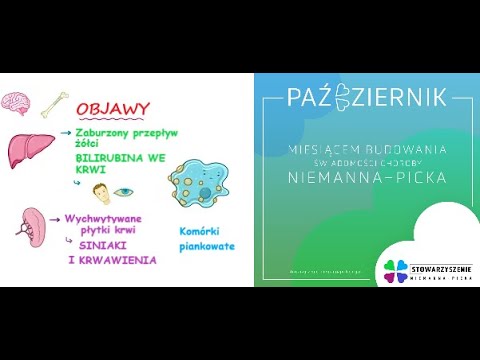 Choroba Niemanna-Picka Typ C przyczyny, objawy, diagnoza, leczenie ...