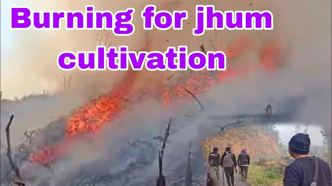 Burning for jhum cultivation 🔥🔥🔥 || longleng Nagaland || 2025 - YouTube