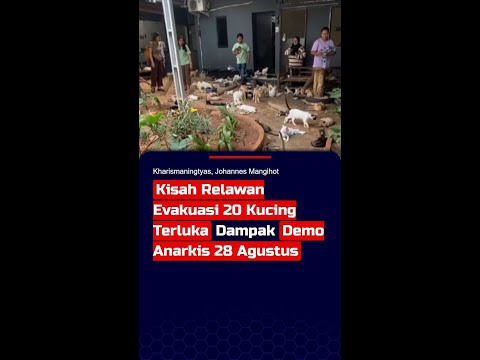 Cara Perbarui Kartu Keluarga Lama ke KK Barcode, Simak Syarat dan ...