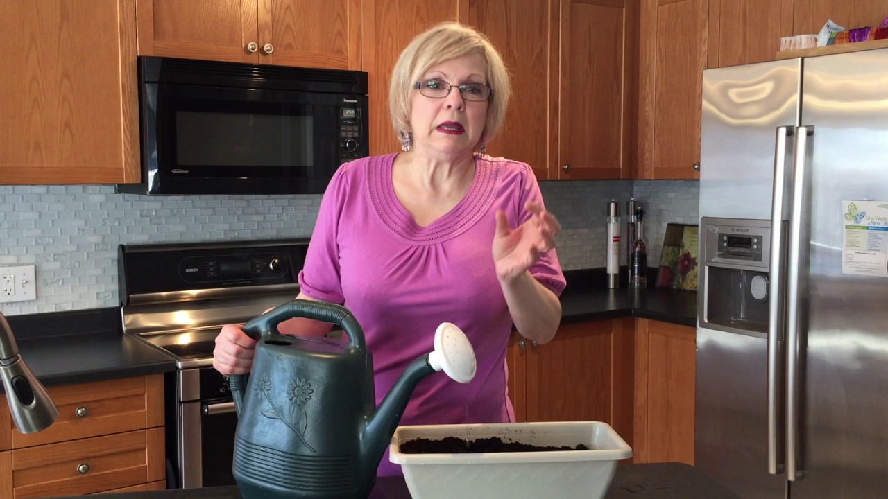 Enjoying the Journey Video # 92 "Wait" by Susan Waters from www ...