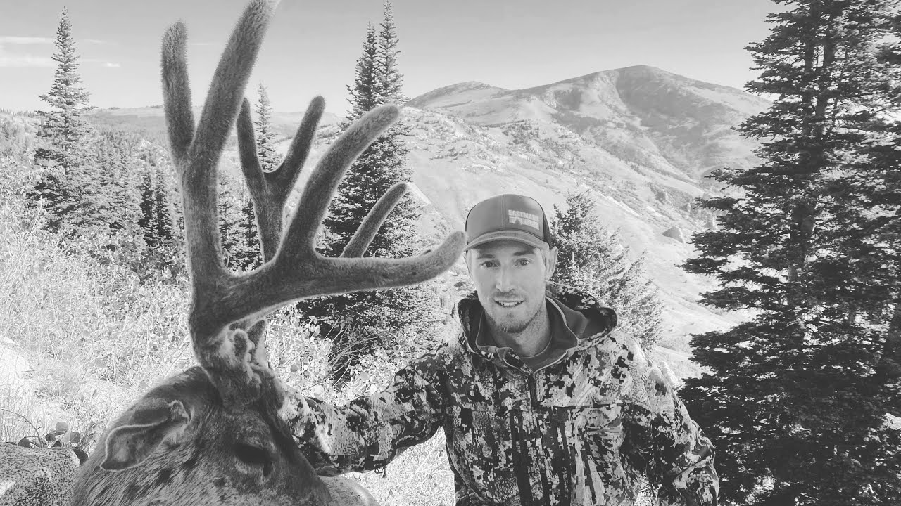 2023 Deja Vu Idaho High Country Mule Deer Hunt Matt Tillotson - YouTube