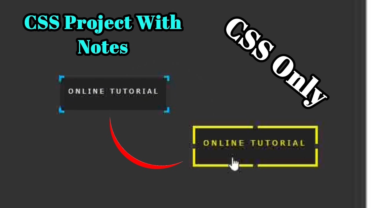 Css Button Hover Effects Html Css Tutorial For Beginners Html Css 2739