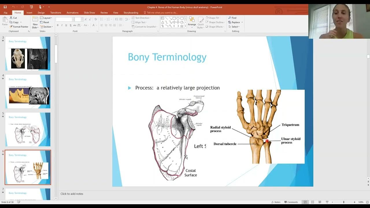 Ch 4 lecture - YouTube