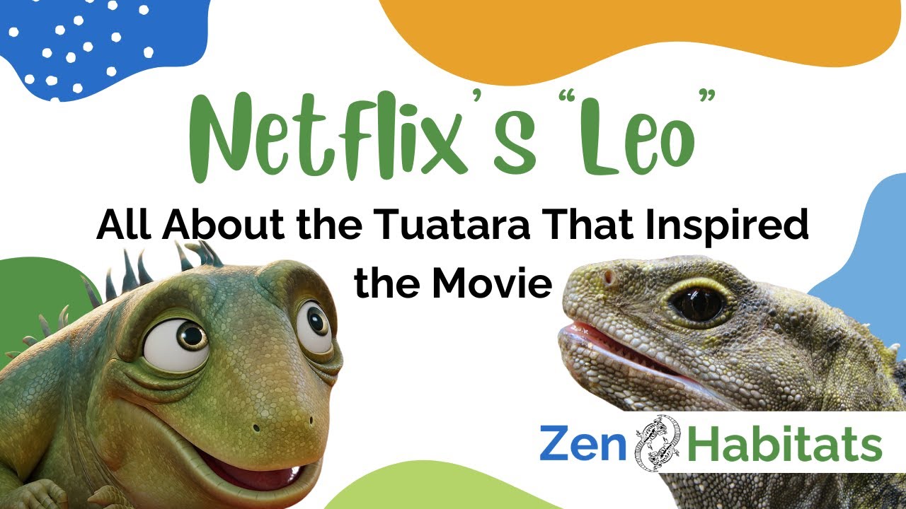 Netflix’s “Leo” | All About the Tuatara That Inspired the Movie - YouTube