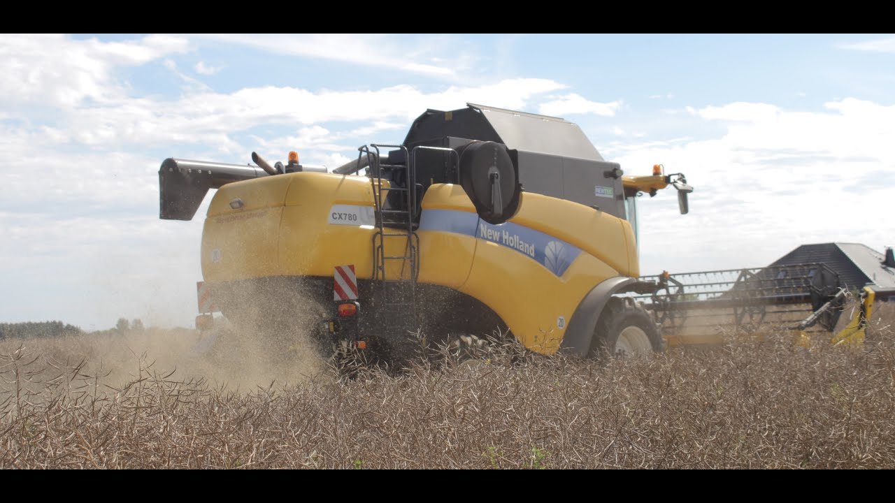 Raps dreschen 2016 | New Holland CX 780 | John Deere | in Action - YouTube