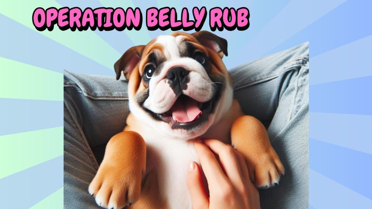 Operation Belly Rub 🐽 - YouTube