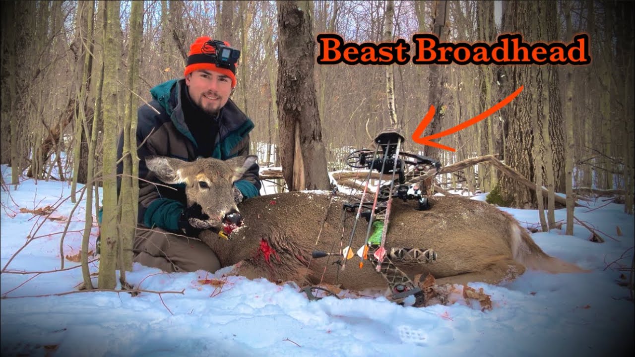 I Tested Bowmar’s BEAST Broadhead! (January Archery Season) - YouTube