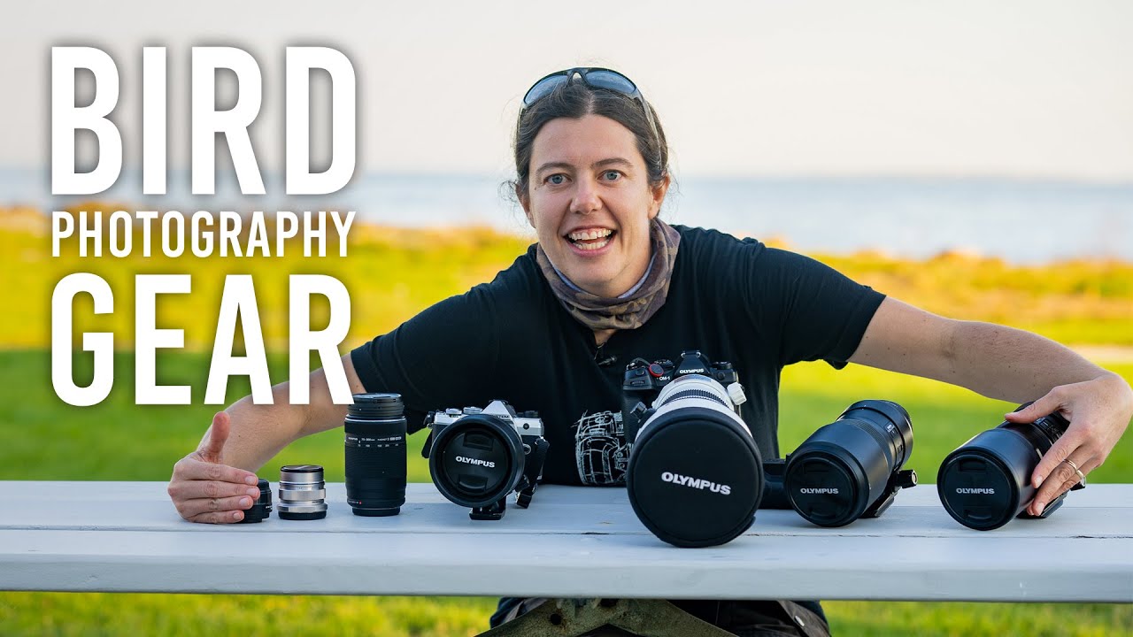 Emilie Talpin's Bird Photography Gear - YouTube