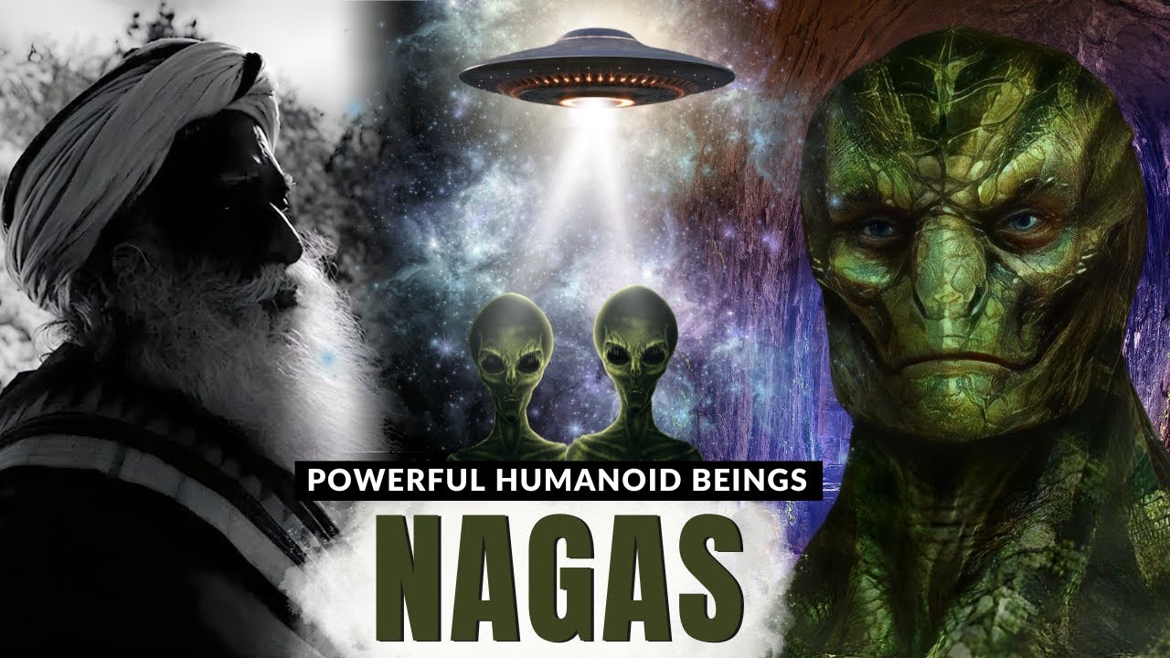 NAGAS: THEY CAME FROM OTHER DIMENSION | The TRUTH About Other ...